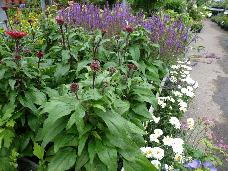 Stauder - Havecentret Hobbyland